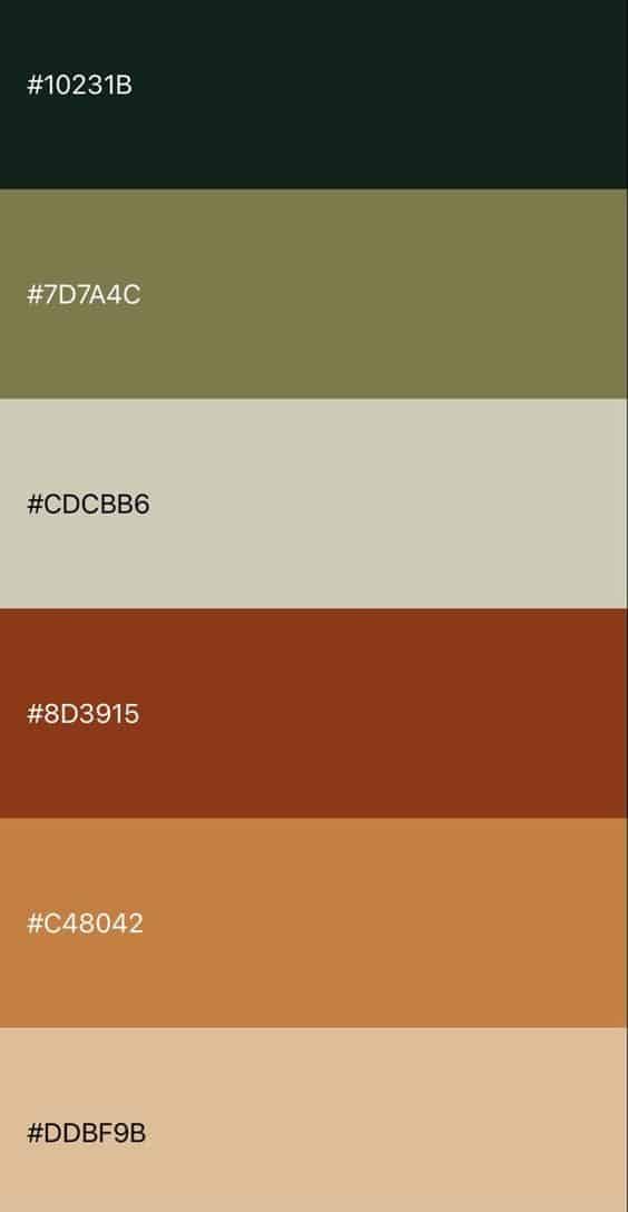 The Only 5 Trouser Colors You Need for Effortless Style Year-Round - B&TG